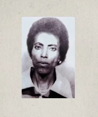 Zefenic | Ethiopian Music Player & Archive